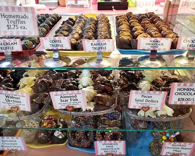 Handmade truffles lined up like little works of art that happen to taste even better than they look.