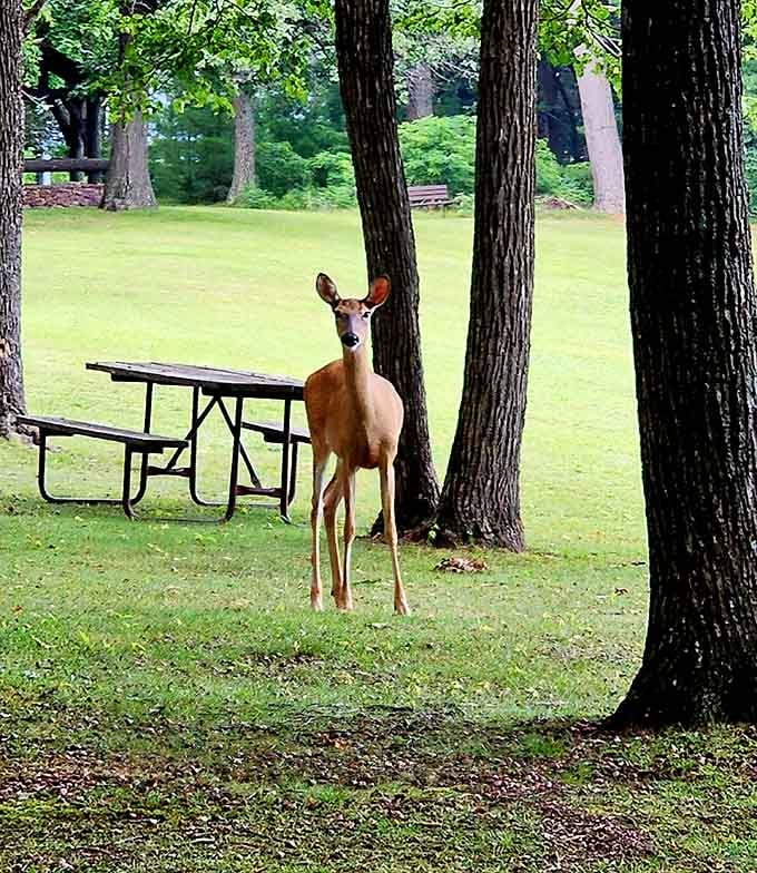 She's checking to see if you brought snacks, and yes, she absolutely knows where you keep the trail mix.