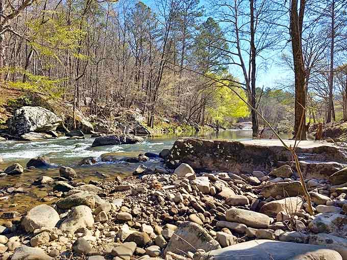 South Sauty Creek winding through the canyon floor, where the only traffic jam involves curious turtles and patient herons.