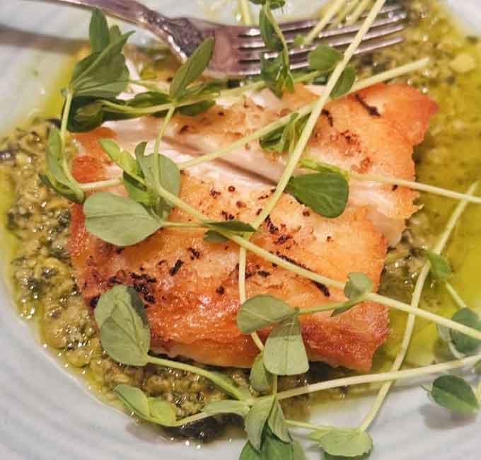 Perfectly seared halibut resting on a vibrant green sauce that's as beautiful as it is delicious to contemplate.