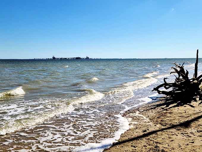 That's the Chesapeake Bay stretching out before you, looking absolutely nothing like the crowded beaches you're used to.