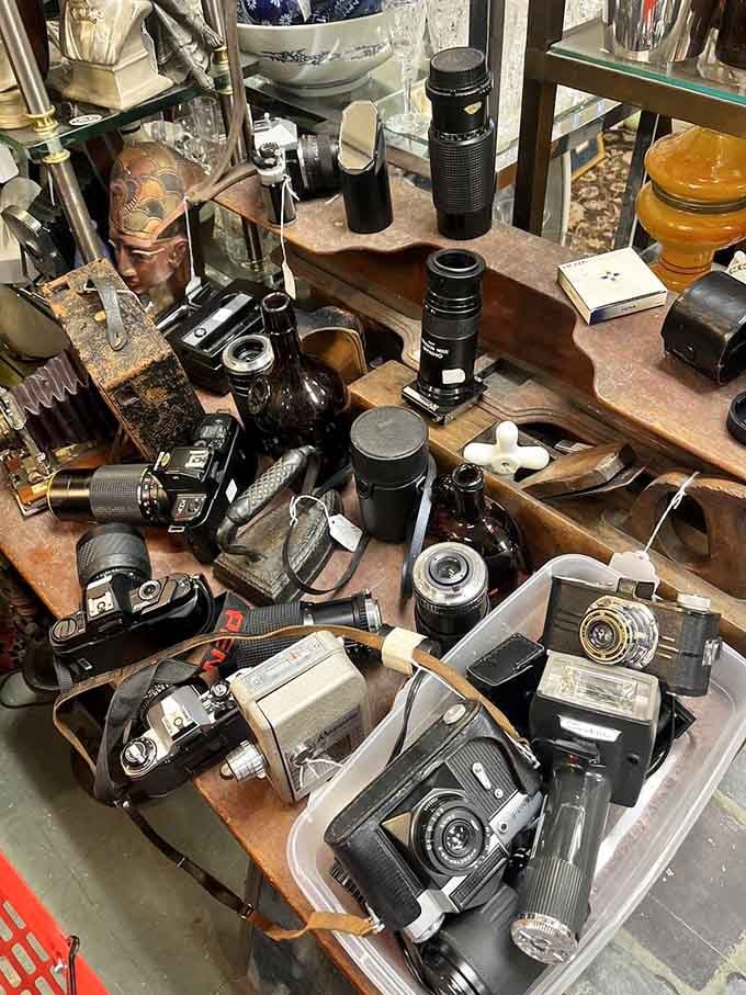 Vintage cameras that captured weddings, vacations, and everyday moments before smartphones made everyone a photographer overnight.