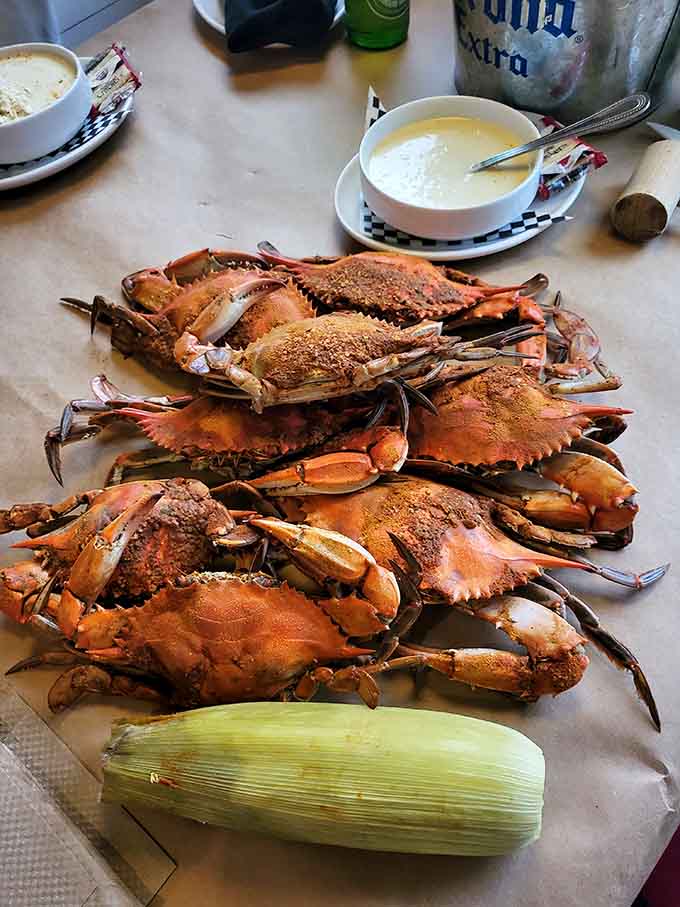 A mountain of steamed crabs dusted with Old Bay is the most Maryland thing you'll see today. Mallets at the ready.