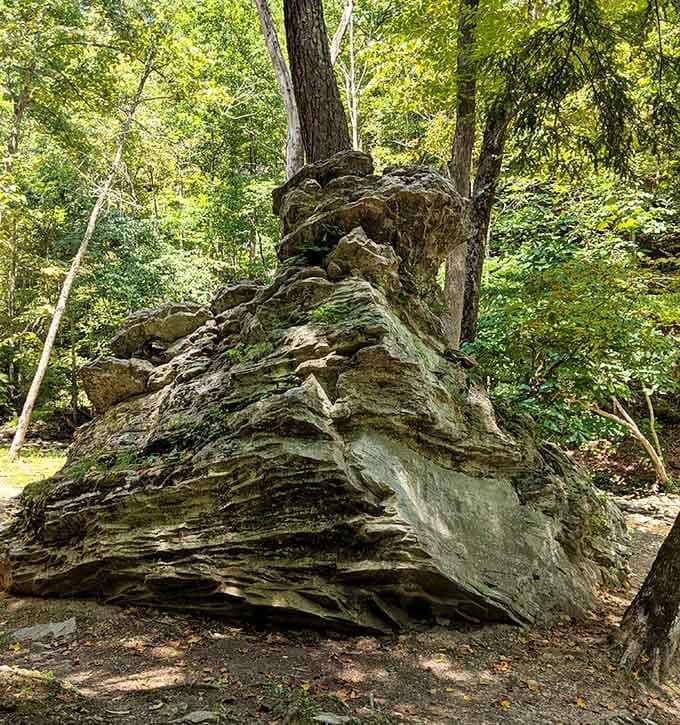 These delicate formations took millennia to create, making your patience in traffic seem downright insignificant by comparison.