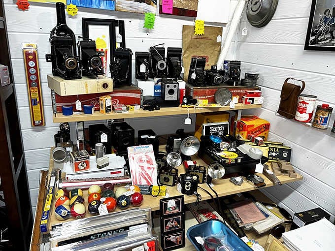 Vintage cameras and billiard balls share shelf space in a delightfully random display that somehow makes perfect sense.