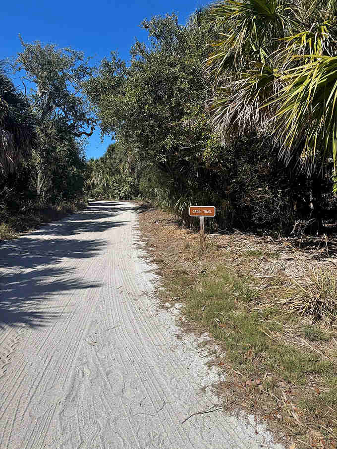 Shaded trails wind through maritime forests where time moves slower and worries fade with each step.