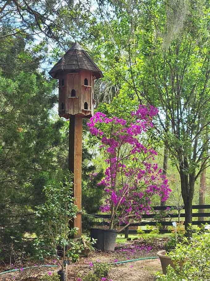 This birdhouse is fancier than most studio apartments, and the tenants never complain about rent.