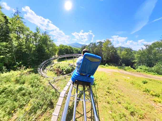 The mountain coaster twists through terrain like a roller coaster designed by someone who really loves gravity.