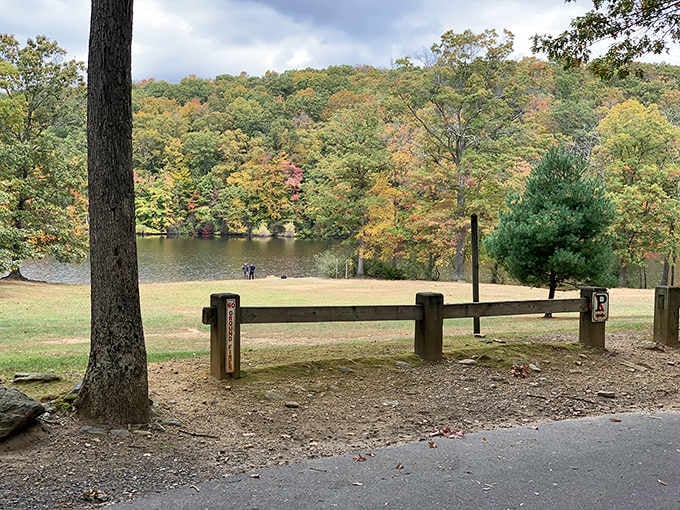 Waterfront tranquility where the biggest decision you'll make is which shady spot to claim for the afternoon.
