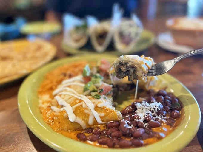 Mushroom enchiladas proving that vegetarian options can be just as crave-worthy as their meaty counterparts.