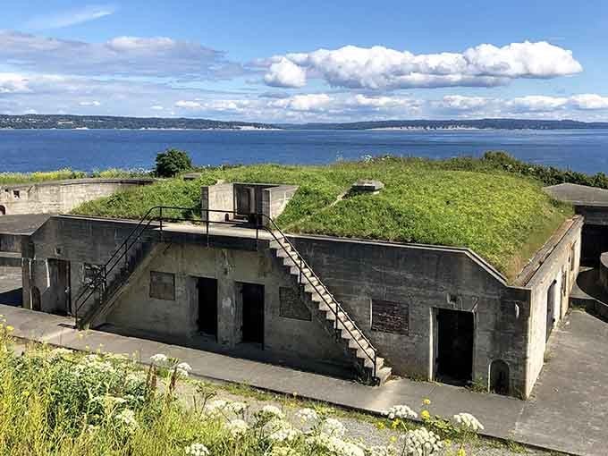 Grass-topped bunkers prove that even military fortifications can go green, literally covering their concrete with living carpets.