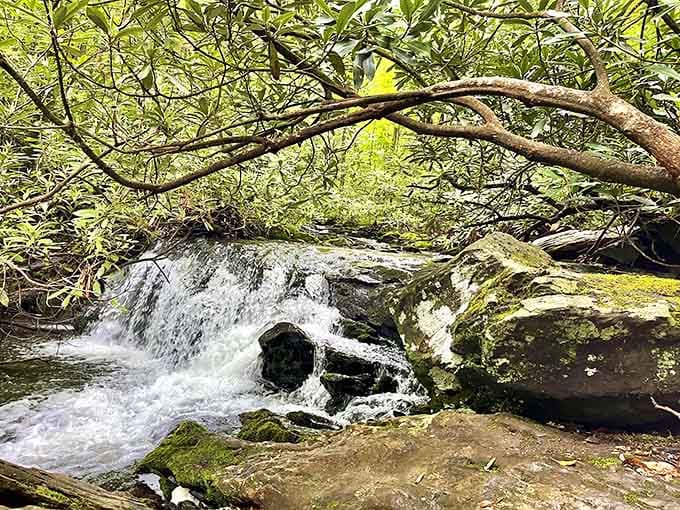 Even the smaller cascades along the trail are overachievers, putting on their own mini water shows for passersby.