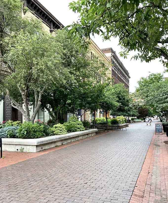 Tree-lined paths through downtown that make you walk slower on purpose, which is basically the opposite of every other city experience.