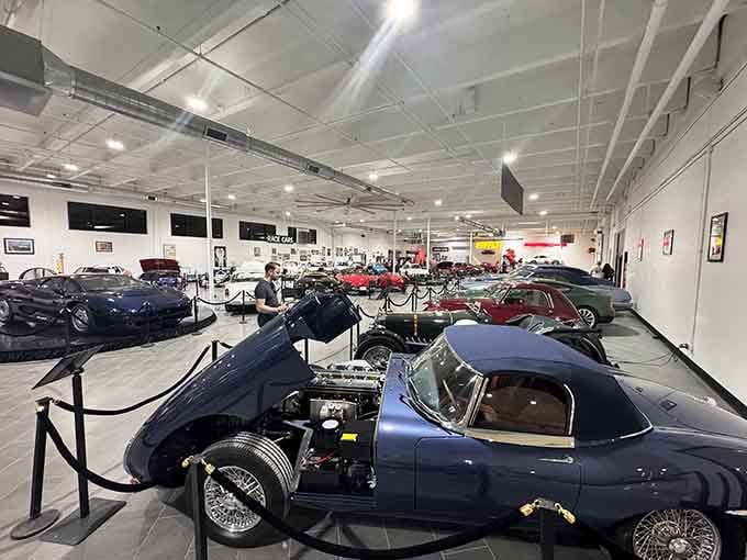 Row after row of automotive excellence, each one representing a different era of design genius.