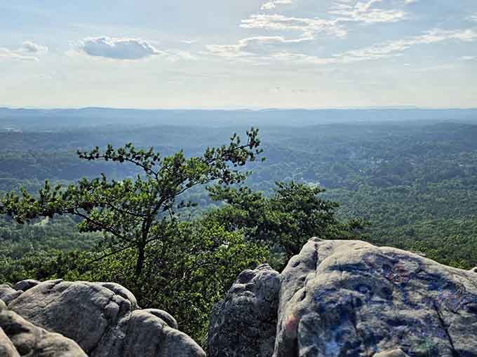 Mountain vistas like this are your backyard view when you choose Dalton, no premium subscription required for this scenery.