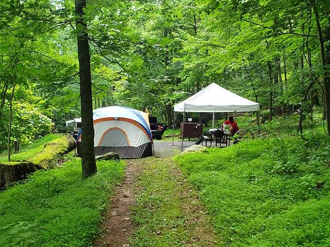 Camping here means waking up surrounded by green so vibrant it makes your lawn look embarrassed.