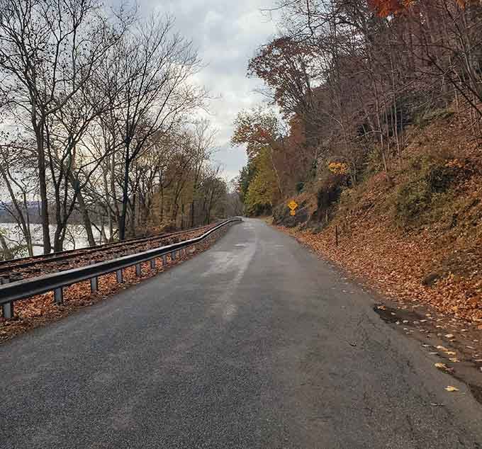 The road curves gently through fall colors, proving that sometimes the scenic route is actually the smart route.