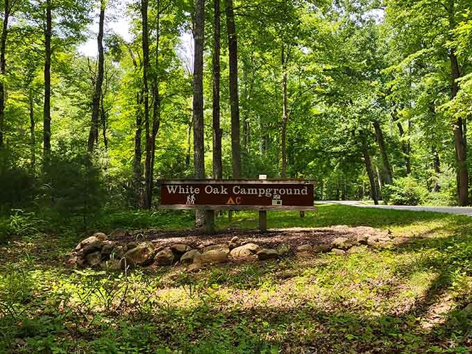White Oak Campground welcomes adventurers to sleep under stars brighter than your neighbor's Christmas lights.