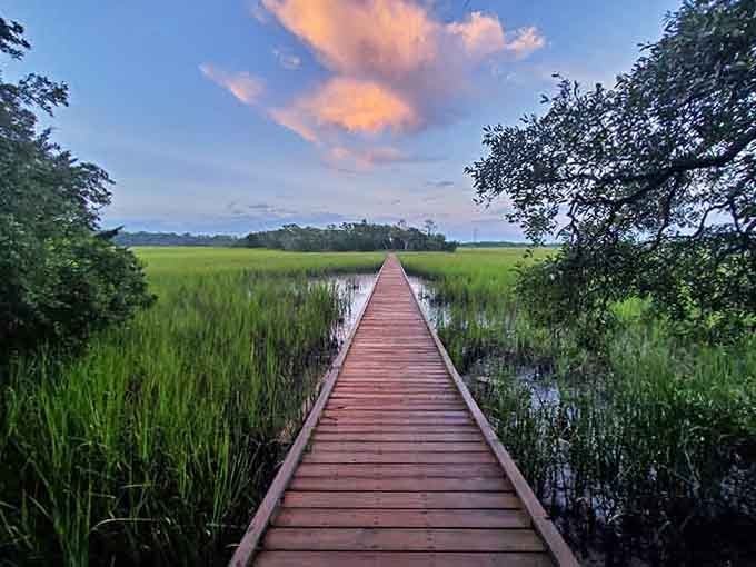 That boardwalk leads straight into the heart of the marsh, where herons practice their patience and you should too.