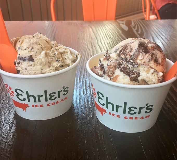 Two cups of creamy perfection sit ready for their close-up, each one a testament to the art of doing ice cream right.