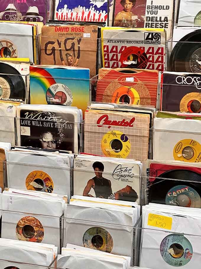 Vinyl collectors, prepare your wallets: this is where your record collection dreams come true, one album at a time.