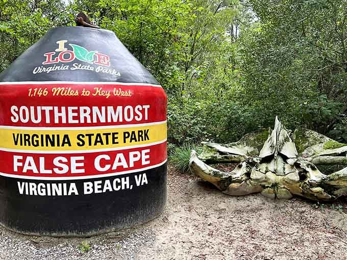 Nothing says "southernmost Virginia state park" quite like a giant painted buoy that's basically the coastal version of a participation trophy.