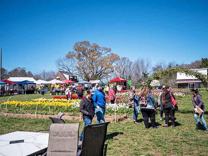 Families and flower enthusiasts gather under colorful tents, because beauty is always better when it's shared with others.