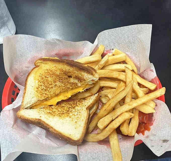 Golden grilled cheese with crispy fries: proof that simple pleasures remain undefeated in the comfort food Olympics.