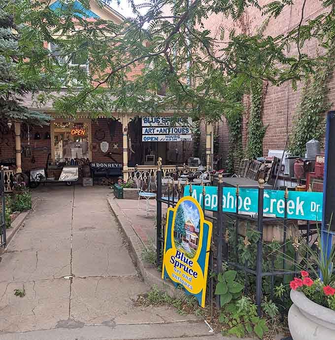 Vintage signs and eclectic finds spill onto the sidewalk, turning window shopping into an outdoor museum experience you can actually touch.