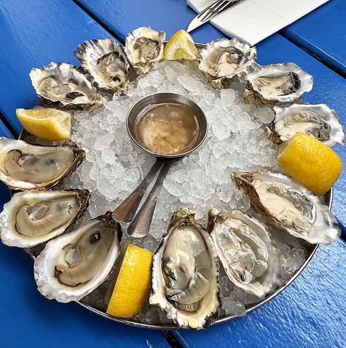 Fresh oysters on ice are nature's way of reminding us that sometimes the best things require absolutely no cooking.