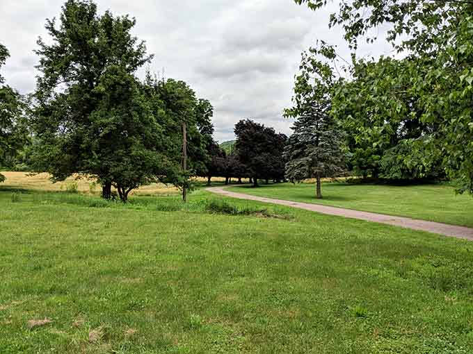 Green spaces where the only agenda is relaxing, breathing deeply, and remembering what peace feels like.