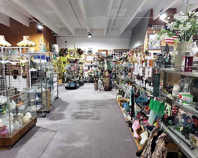 Every corner reveals another carefully curated display that'll stop you dead in your tracks with delight.