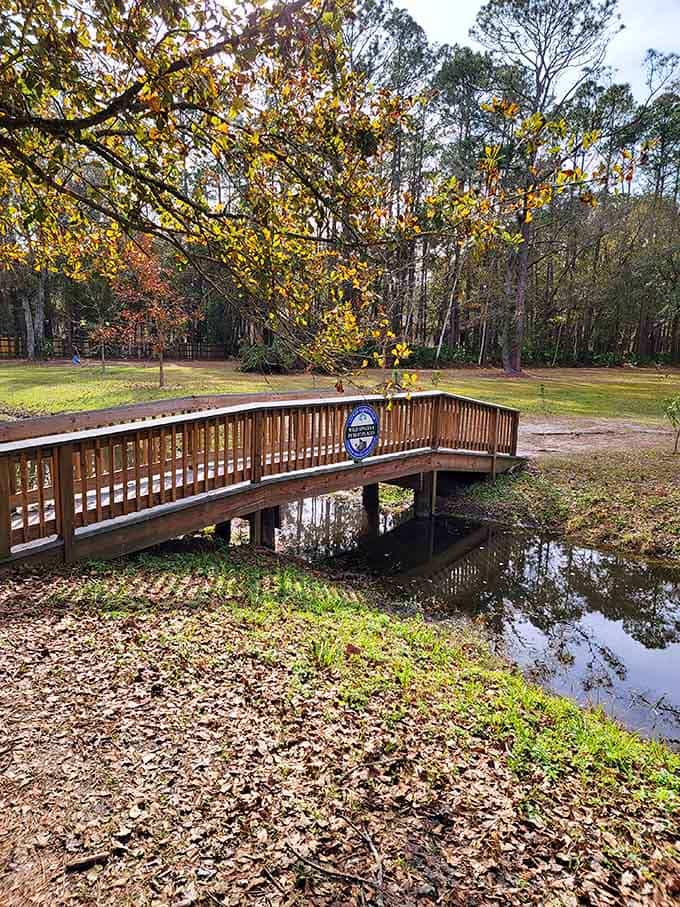 Northside Park's peaceful bridge and walking paths offer nature therapy just minutes from the university campus.