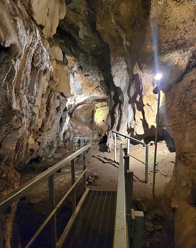 Strategic lighting transforms ancient limestone into an otherworldly landscape that cameras struggle to capture but memories never forget.
