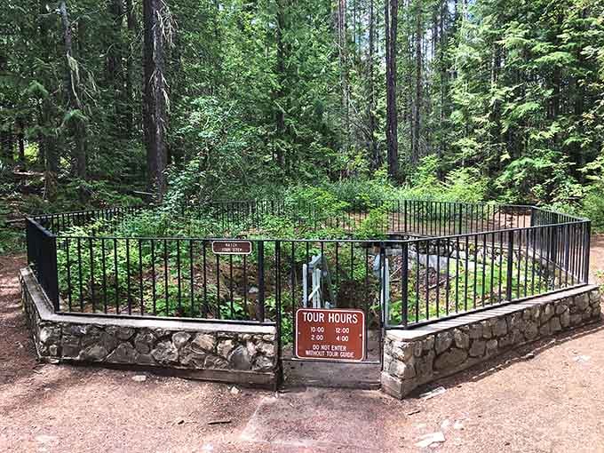 The gated entrance surrounded by towering pines promises subterranean wonders that your basement definitely cannot compete with.