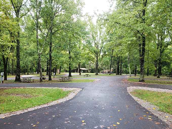 Paved campground roads prove you can enjoy nature without sacrificing the comforts of modern civilization and level parking.