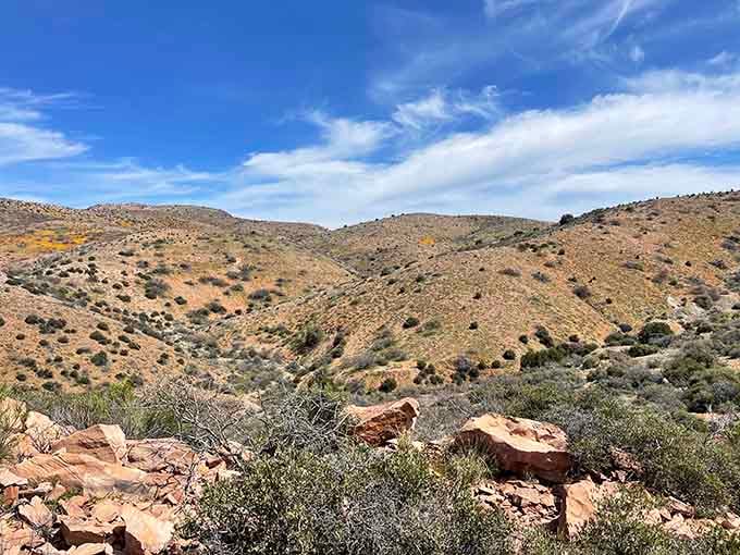 The Pinal Mountains roll endlessly under Arizona's impossibly blue sky, making you understand why people settled here.
