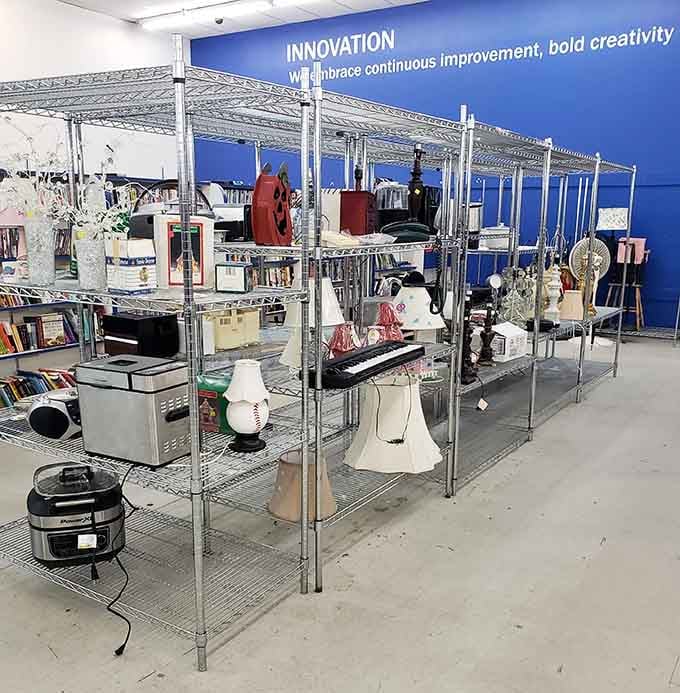 Small appliances and decorative items arranged like a museum exhibit where everything's actually for sale at reasonable prices.