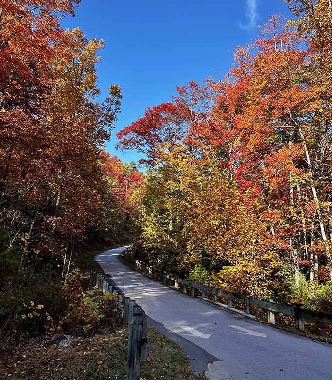 Fall colors on these mountain roads make you want to drive slowly and savor every single turn.