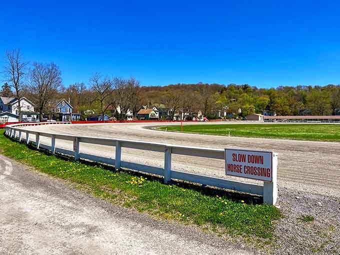 The Historic Track has been hosting races since before your great-grandparents learned to walk, and it's still going strong.