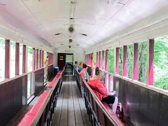 Simple wooden benches and big windows, proving that sometimes the best seat in the house is the simplest one.