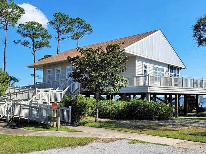 Elevated cabins offer camping comfort without the whole sleeping-on-rocks situation that nobody actually enjoys anymore.