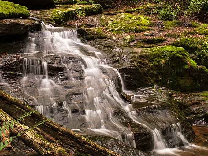 Hidden waterfalls cascading over moss-covered rocks prove that Maryland's got more surprises than your favorite mystery novel's plot twists.