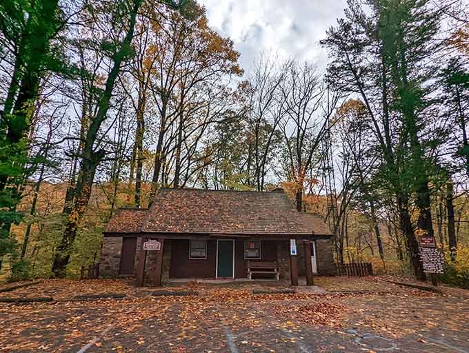 The park's info center stands ready to answer your questions, though the forest behind it does most of the talking.