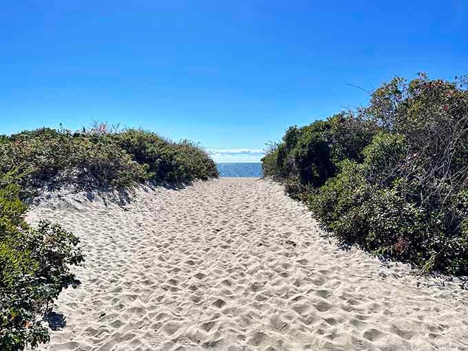 Every great beach adventure starts with a sandy path that promises your shoes will never be clean again.