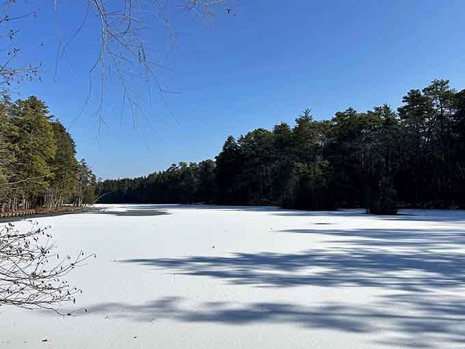 Winter transforms the lake into a frozen canvas, offering serene beauty for those brave enough to bundle up.
