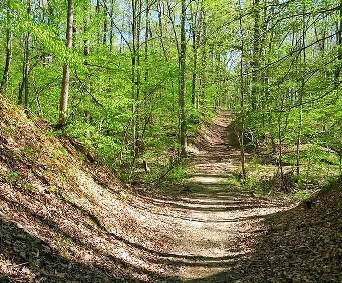 The mountain biking trails carve through rolling terrain that'll make you forget you're in the flatlands of Indiana.
