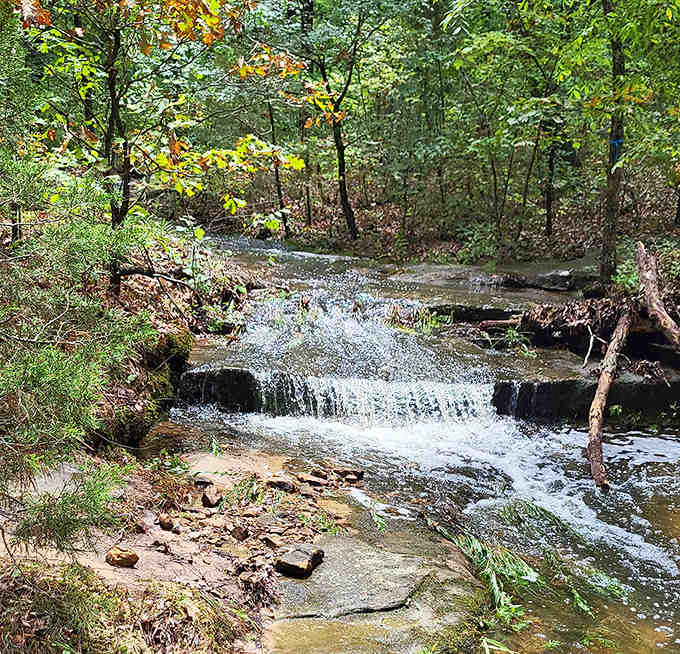 Small cascades and rocky streams create nature's own soundtrack, better than any playlist you've got saved on your phone.