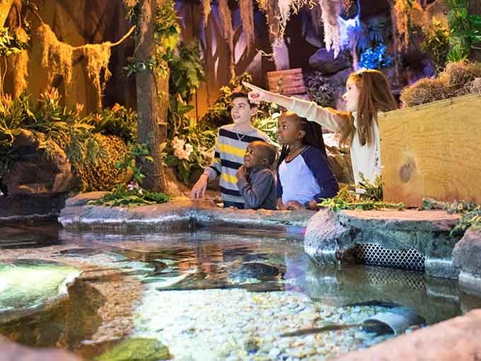 Kids explore interactive exhibits at Catawba Science Center, perfect for entertaining visiting grandchildren without breaking the bank.