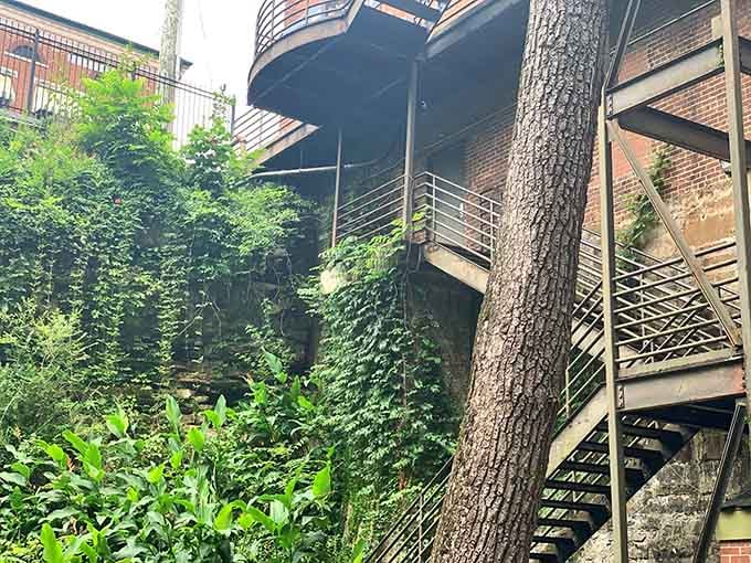 Metal staircases winding through greenery prove that getting to adventure sometimes requires a little cardio first.